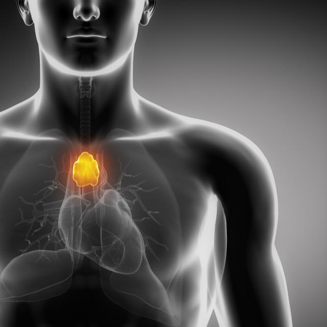 Greffe : usage et effets secondaires des médicaments immunosuppresseurs