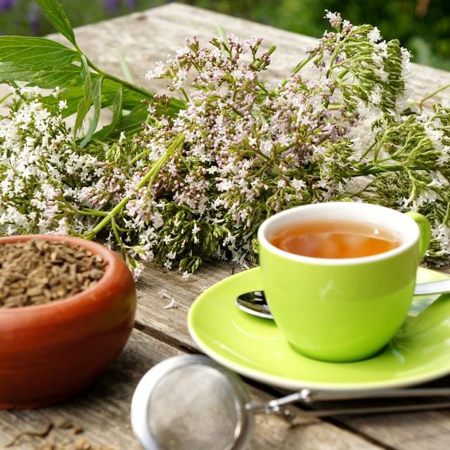 Sommeil perturbé : ce signe précoce qui change tout pour la maladie de ...