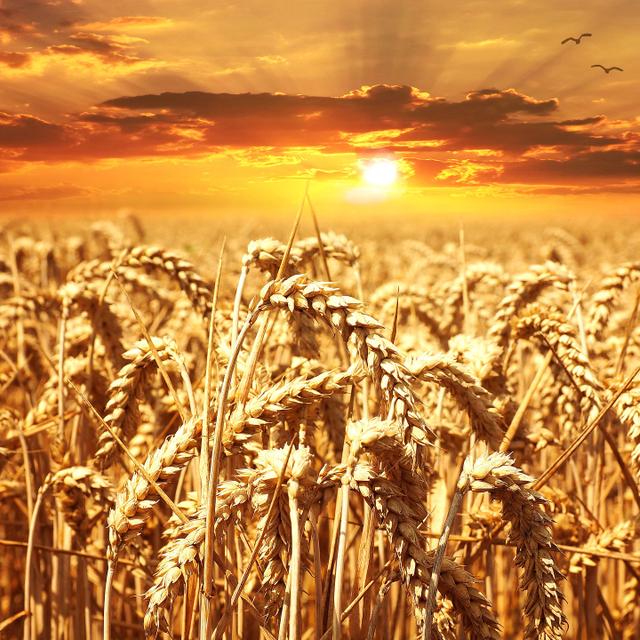 Bokep indo colmek sma je n'ai pas besoin de le décrire pour