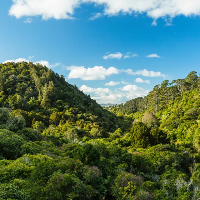 Le huitième continent perdu, Zealandia, enfin cartographié