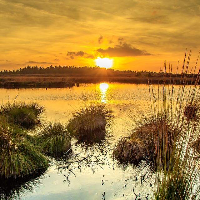 Définition | Poldérisation : qu'est-ce que c'est ? | Futura planète