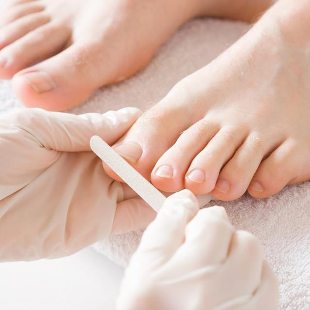 Définition | Plantigrade : qu'est-ce que c'est ? | Futura planète