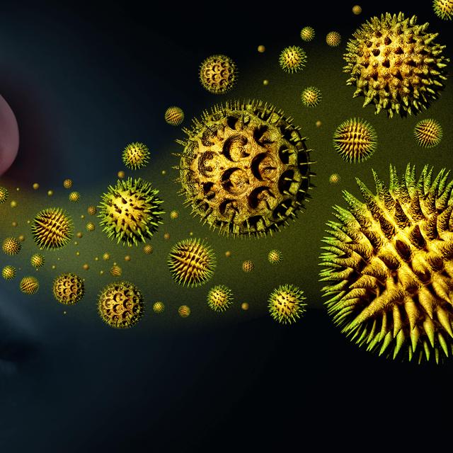 Allergies au pollen : ces gestes simples qui peuvent tout changer au ...