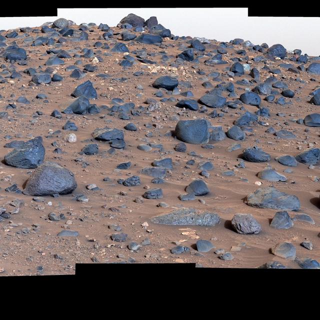 Définition | Trépan : qu'est-ce que c'est ? | Futura planète