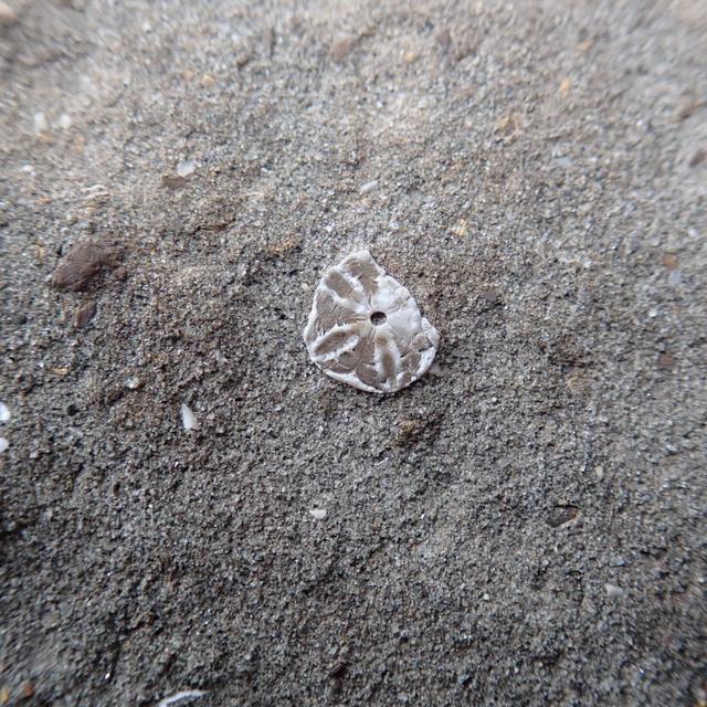 Définition | Datation relative : qu'est-ce que c'est ? | Futura planète