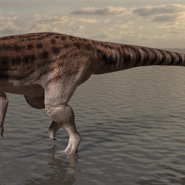 Découvert au cœur du désert, ce Spinosaurus remet en cause l’idée du ...