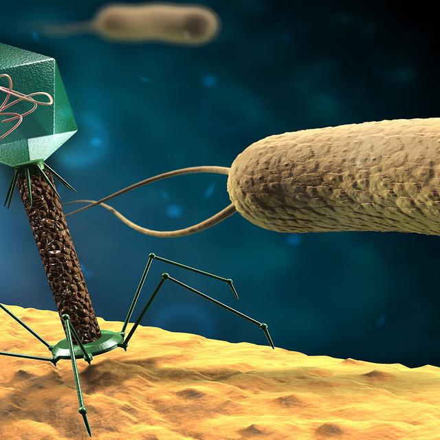 Étrange découverte : virus et bactéries mutent dans l’ISS… et ce qu’ils ...