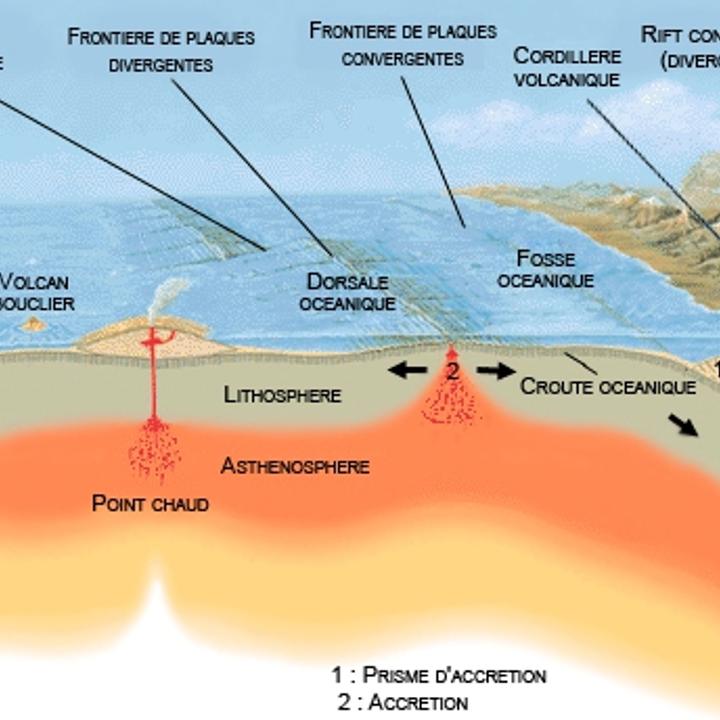 Définition | Fosse océanique : qu'est-ce que c'est ? | Futura planète