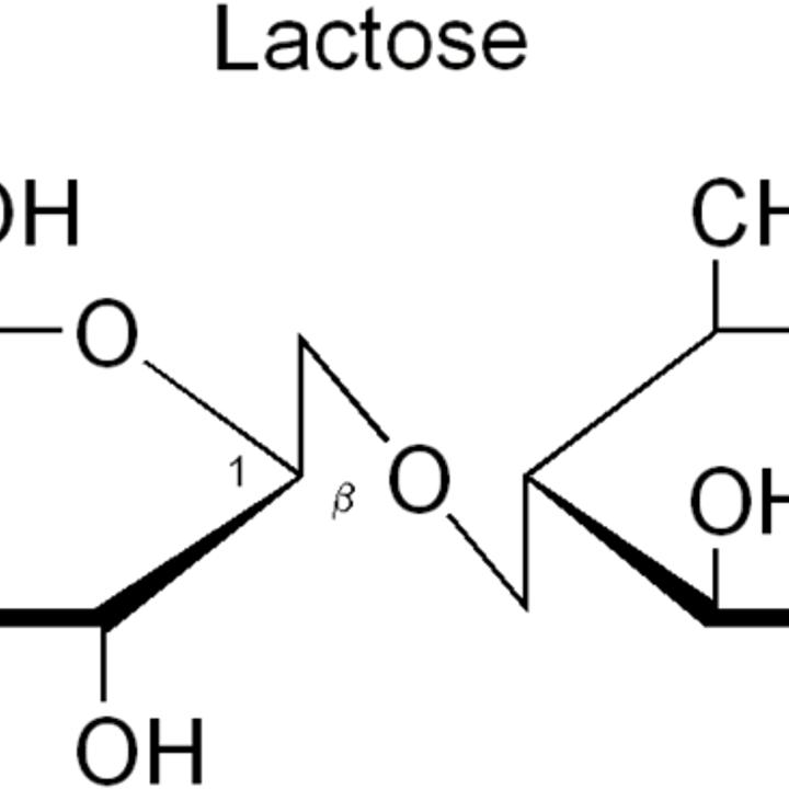 Définition | Lactose : qu'est-ce que c'est ? | Futura santé