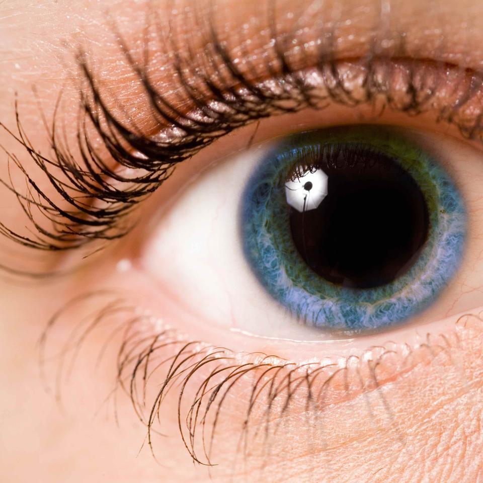 Qu’est ce que la persistance rétinienne