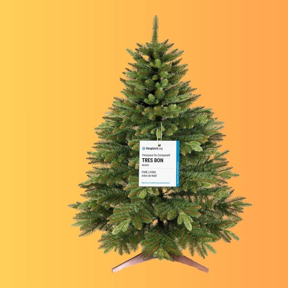 ALERTE BON PLAN : ce sapin de Noël Premium (90 cm) passe à -33% pour le ...