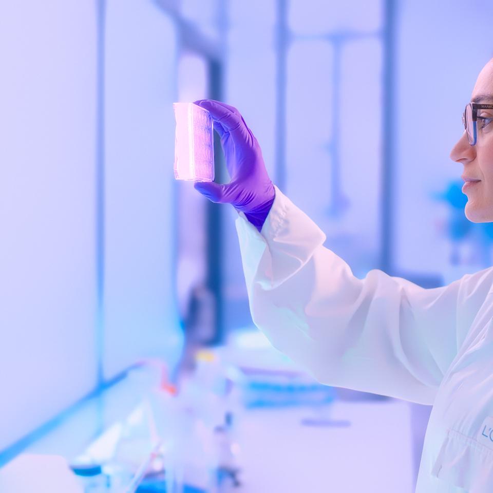 Définition | Hypervolémie : qu'est-ce que c'est ? | Futura santé