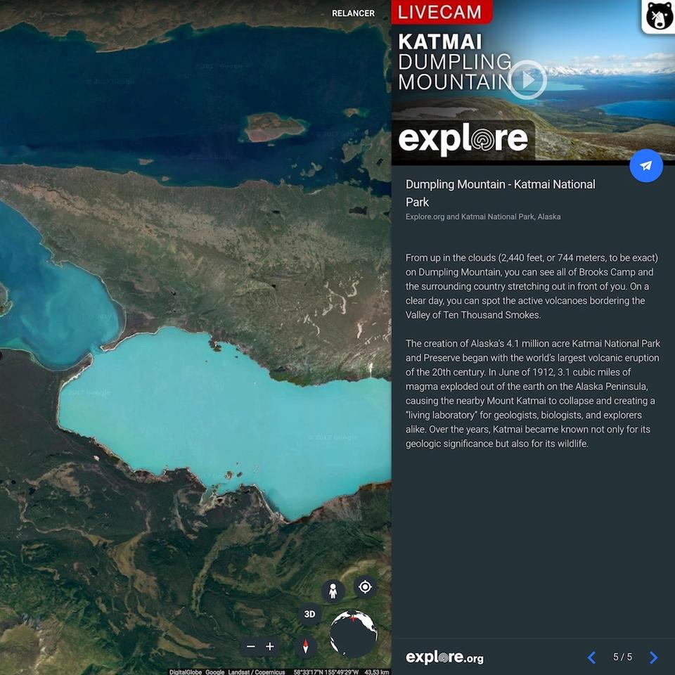 Google Earth Live filme des ours bruns en pleine chasse au saumon