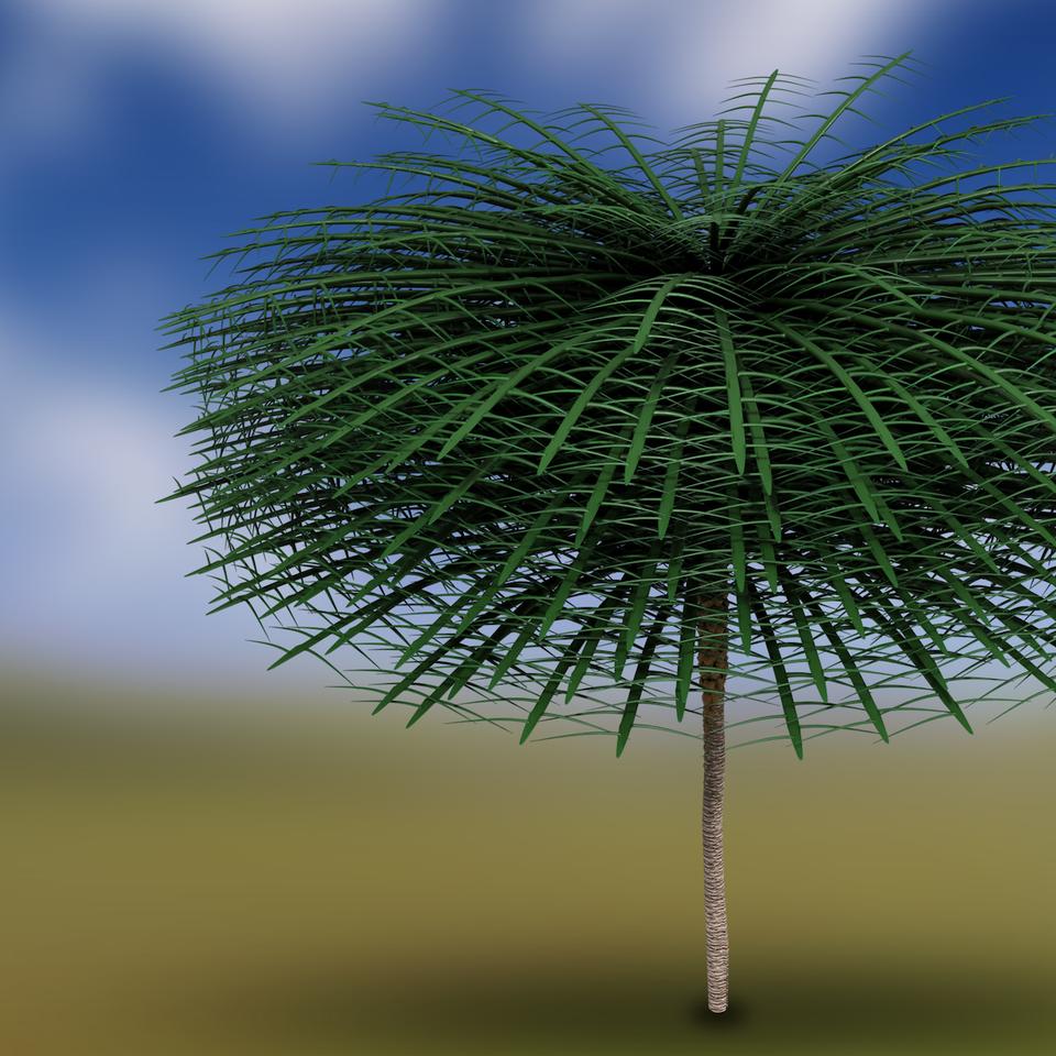 Découverte d’un arbre unique dans l’évolution avec des feuilles ...