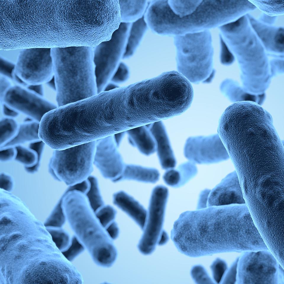 Définition | Antibiogramme : qu'est-ce que c'est ? | Futura santé