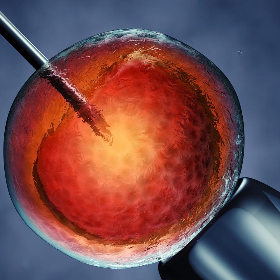 Définition | ICSI : qu'est-ce que c'est ? | Futura santé