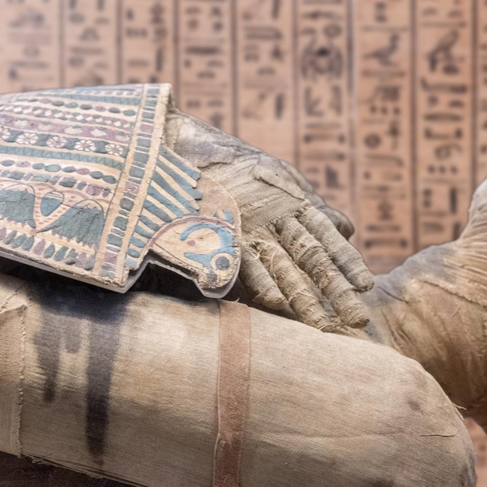 Définition | Dessiccation : qu'est-ce que c'est ? | Futura sciences