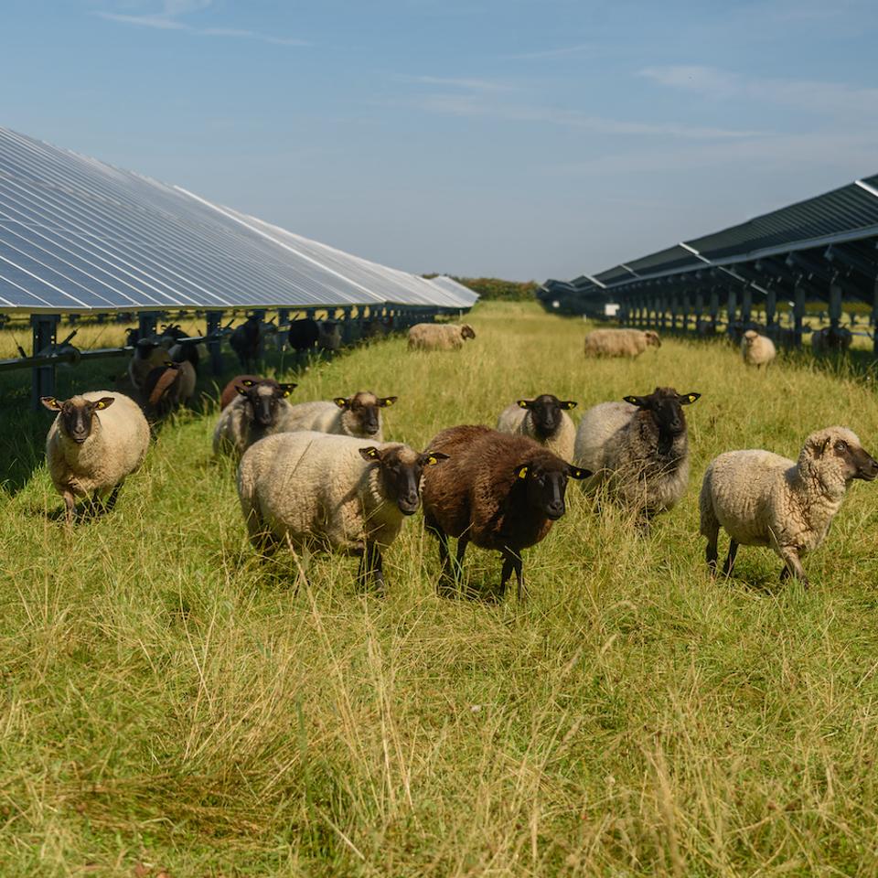 Définition | Lilo : qu'est-ce que c'est ? | Futura tech