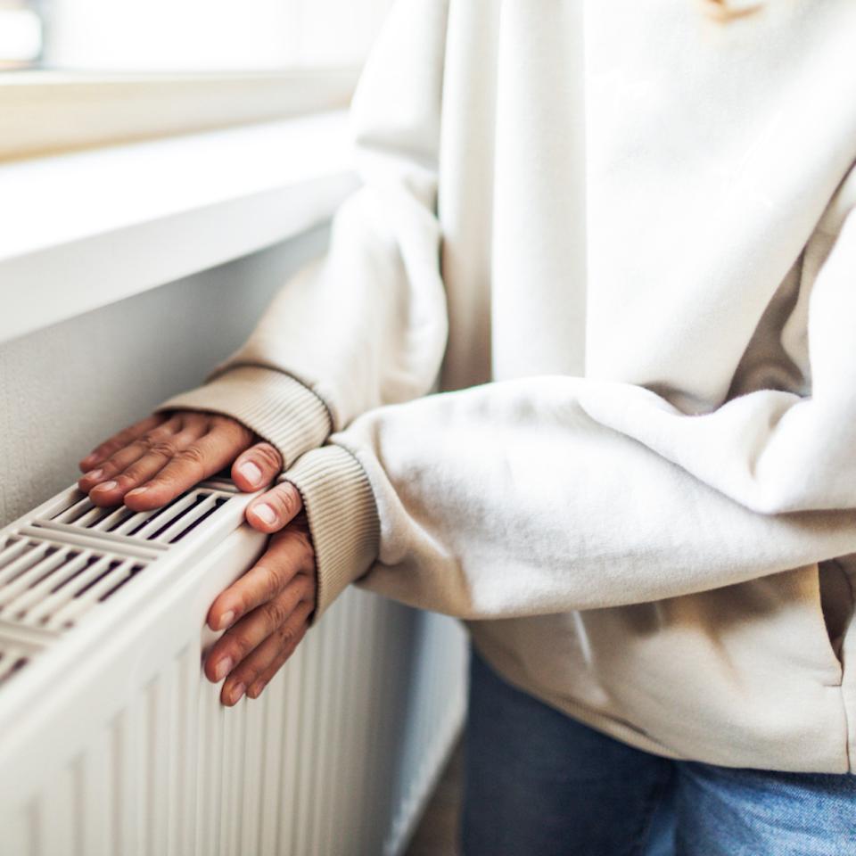 Définition | Laitance : qu'est-ce que c'est ? | Futura maison