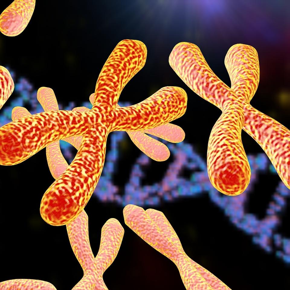 Définition | Syndrome 47,XYY : qu'est-ce que c'est ? | Futura santé