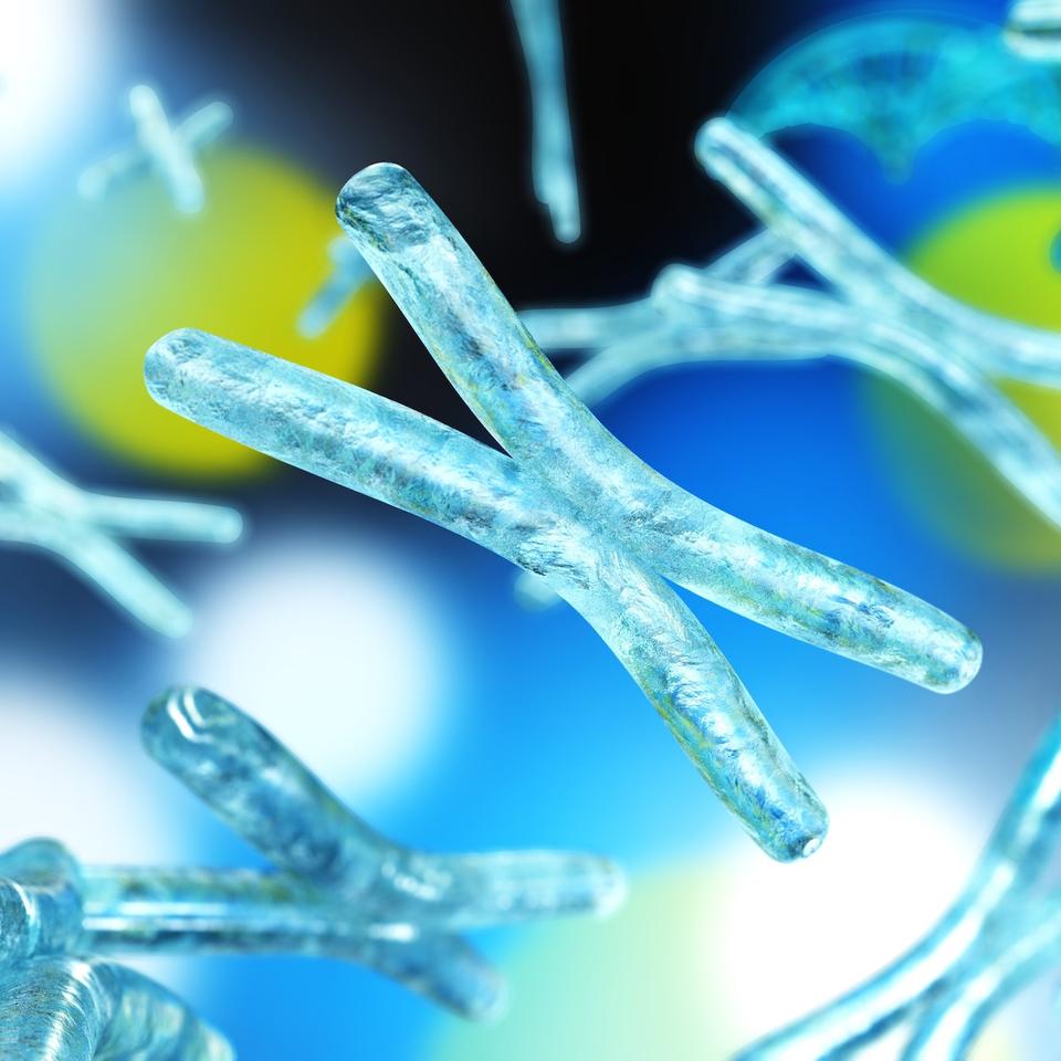 Qu’est ce que la persistance rétinienne