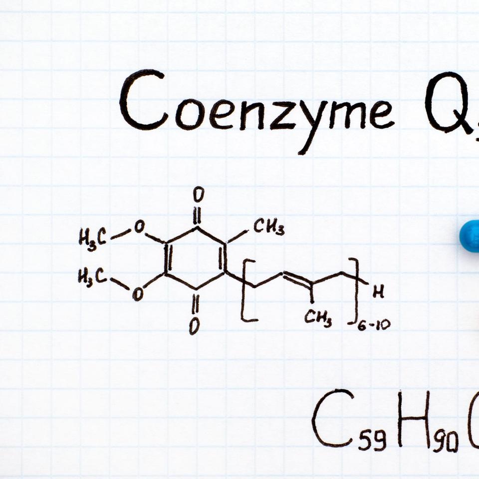 Définition | Coenzyme : qu'est-ce que c'est ? | Futura santé