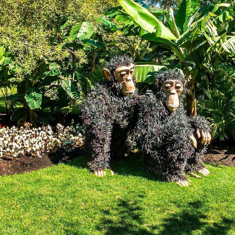 Mosaïculture : les splendides sculptures végétales de Montréal