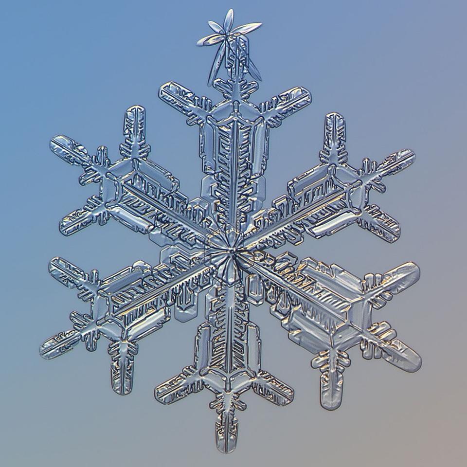 Les flocons de neige, ces mystérieux petits miracles de la nature