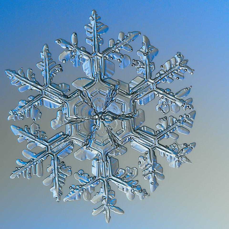 Les flocons de neige, ces mystérieux petits miracles de la nature