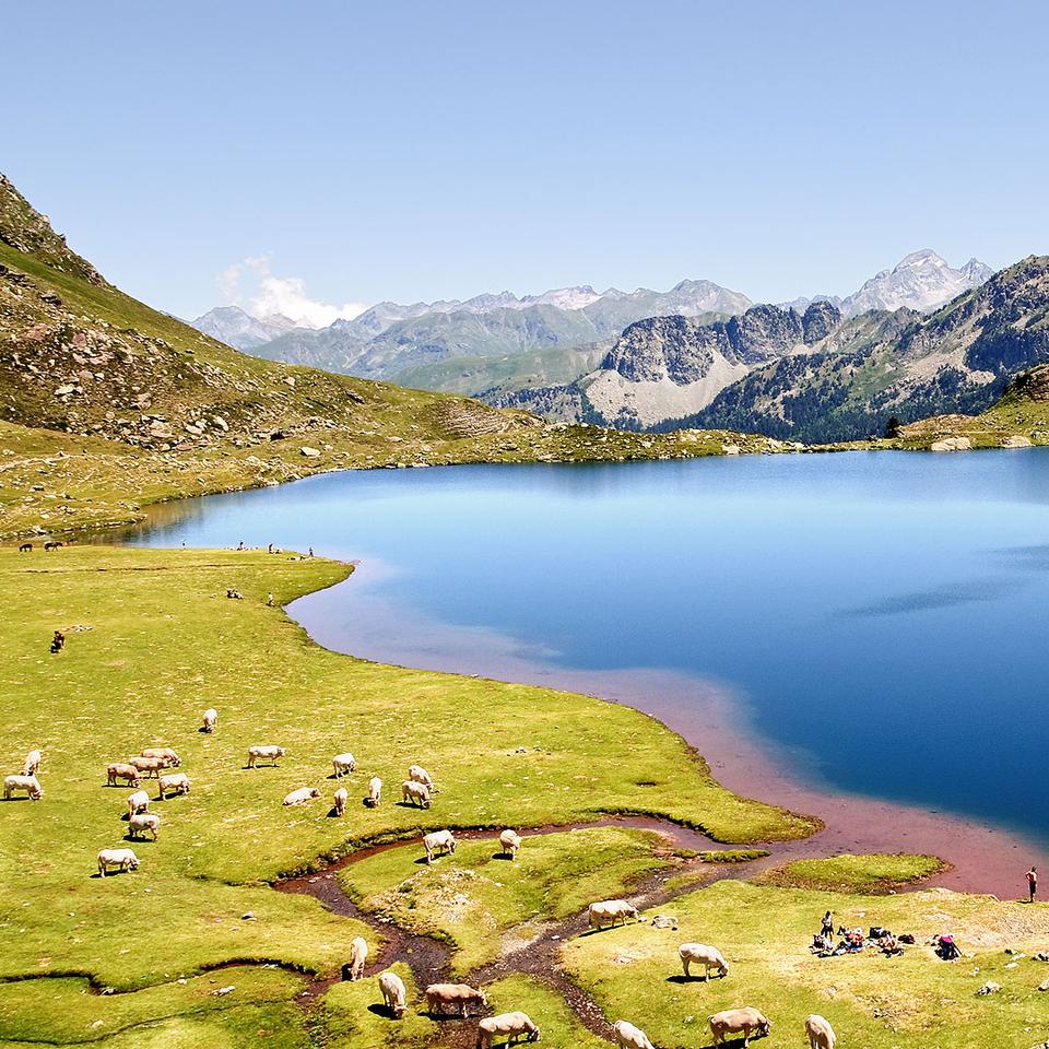 La beauté et la diversité des 10 parcs nationaux français