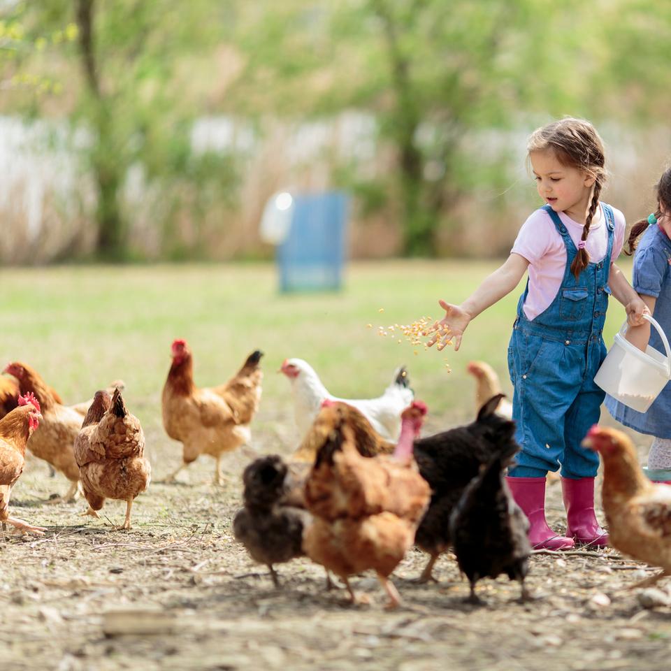 Pourquoi les enfants ayant grandi à la ferme ont-ils statistiquement ...