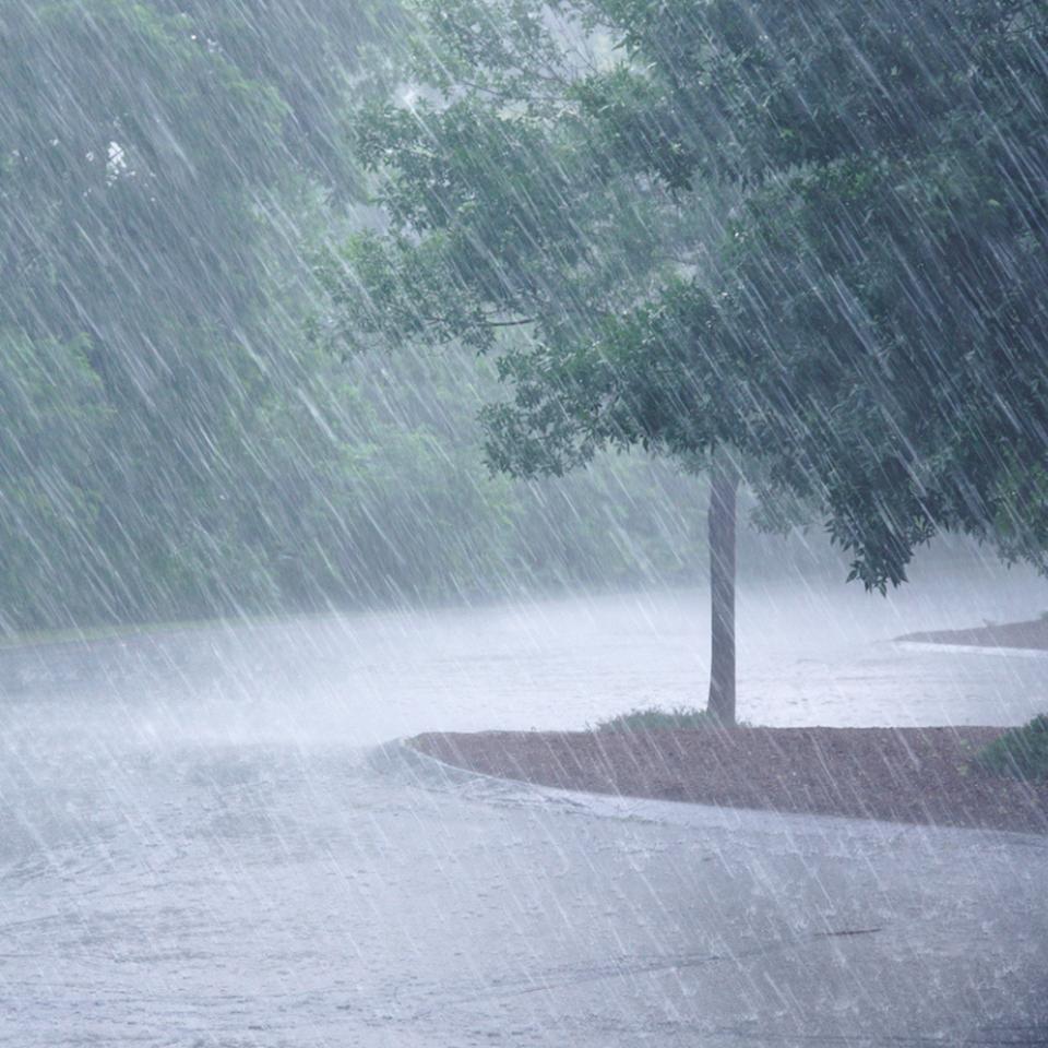 Définition | Pollution organique : qu'est-ce que c'est ? | Futura planète