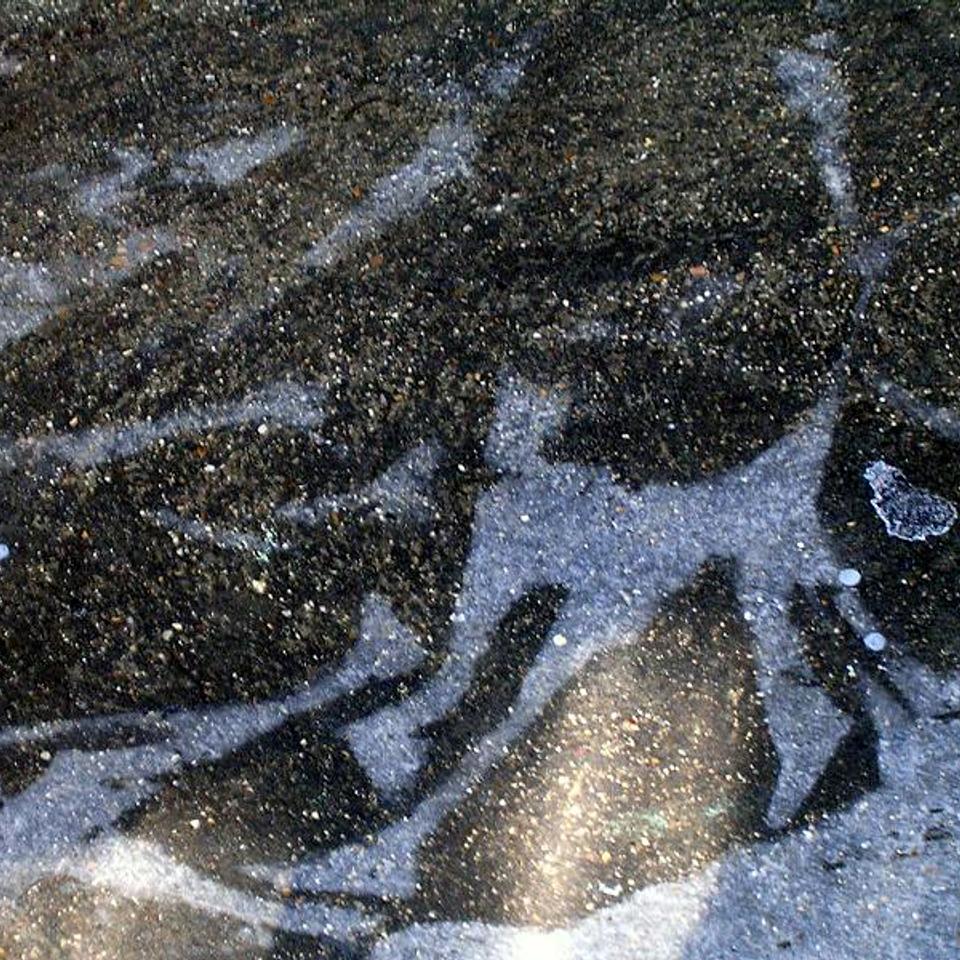 Définition | Laitance : qu'est-ce que c'est ? | Futura maison