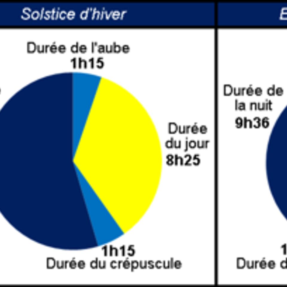 Définition | Photopériode : qu'est-ce que c'est ? | Futura santé