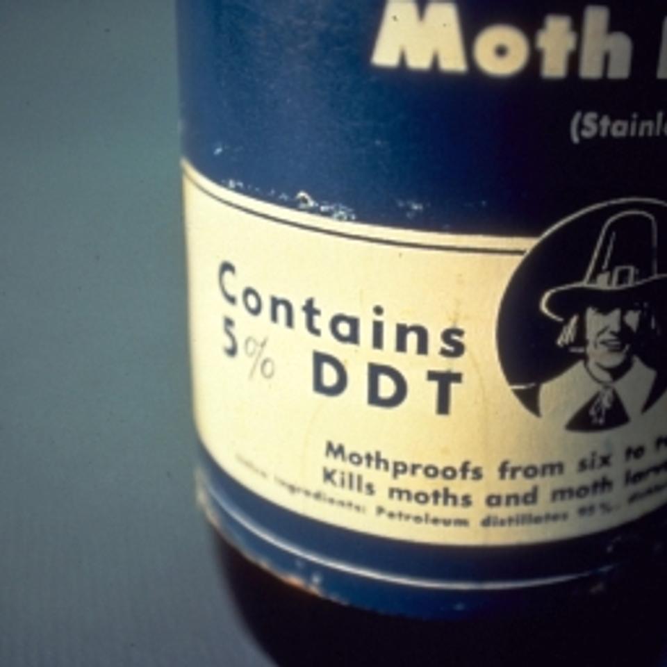 Définition | Pollution organique : qu'est-ce que c'est ? | Futura planète