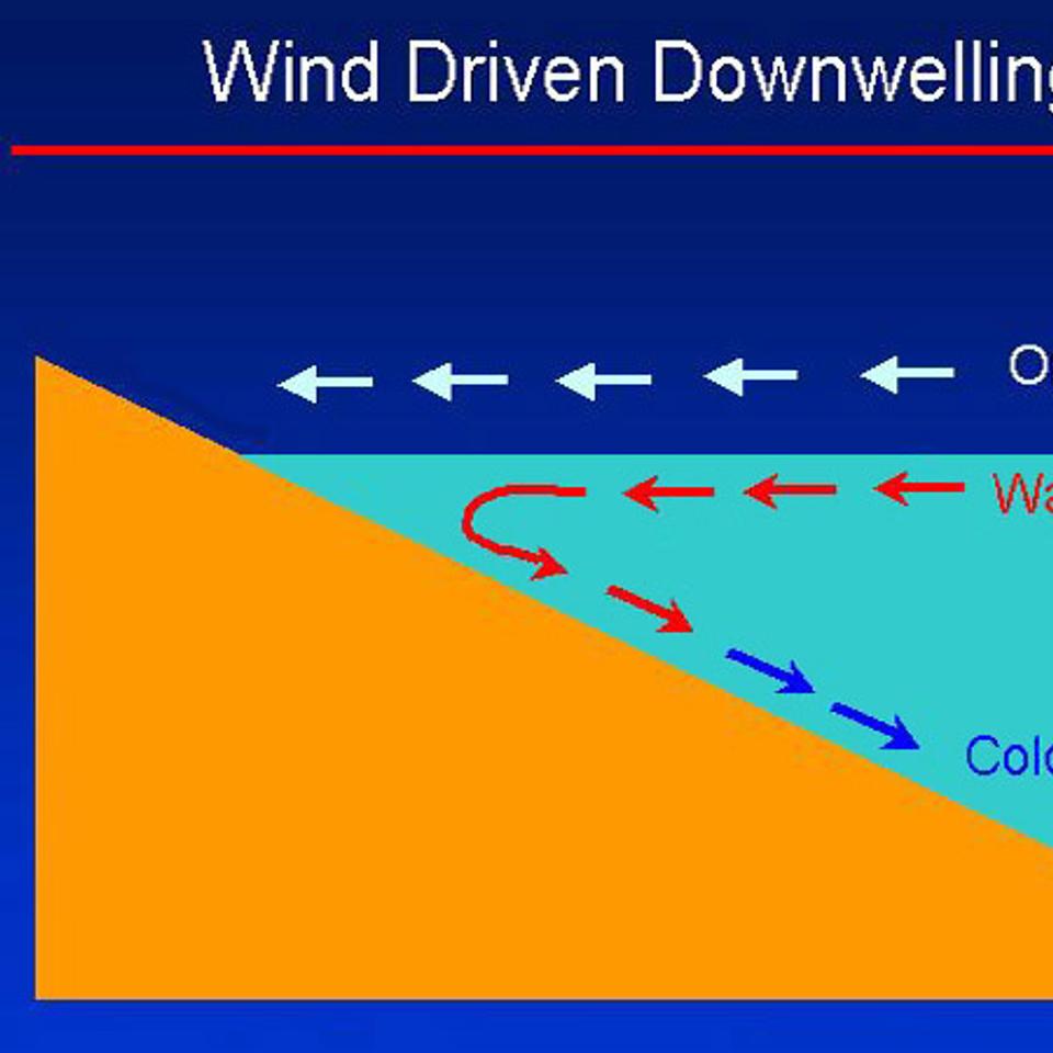 Définition | Downwelling : qu'est-ce que c'est ? | Futura planète