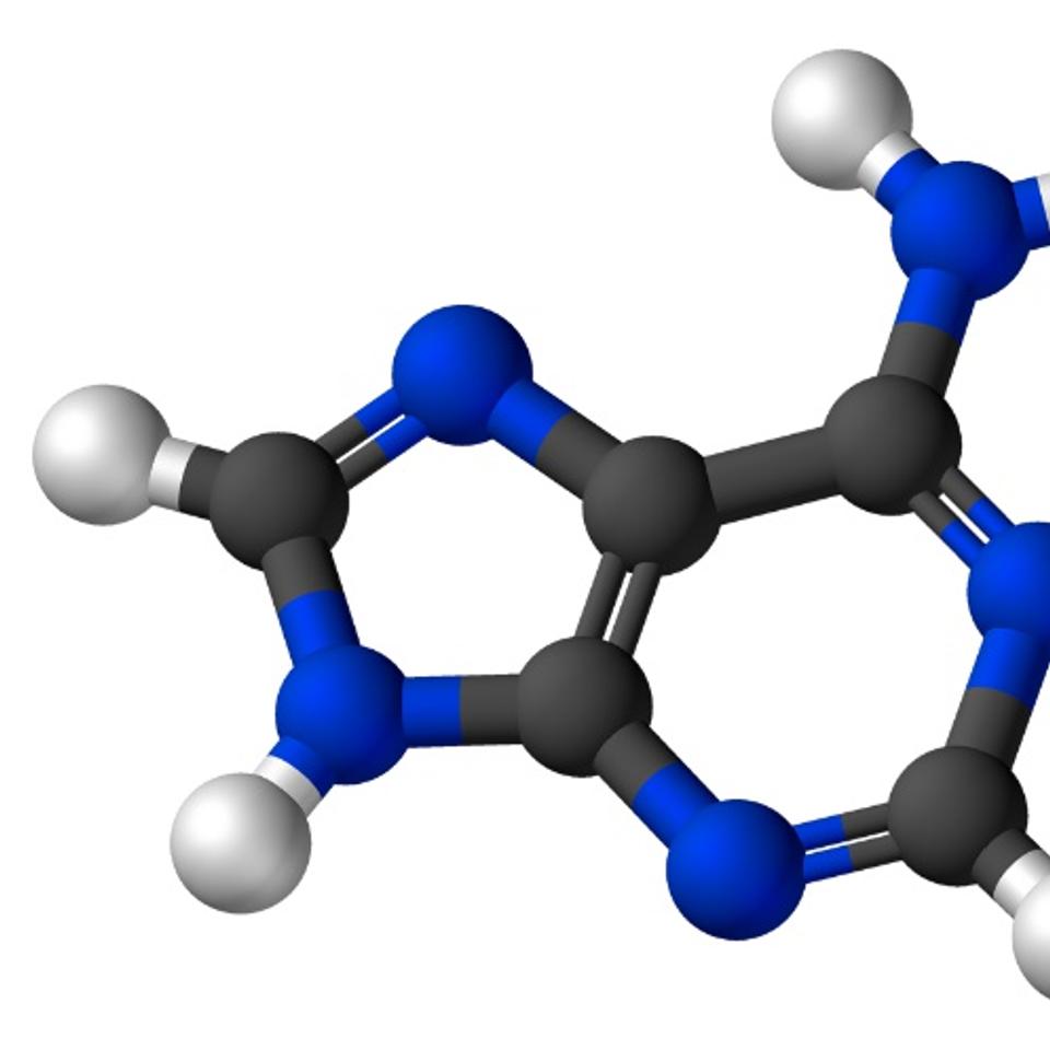 Définition | Adénine : qu'est-ce que c'est ? | Futura santé