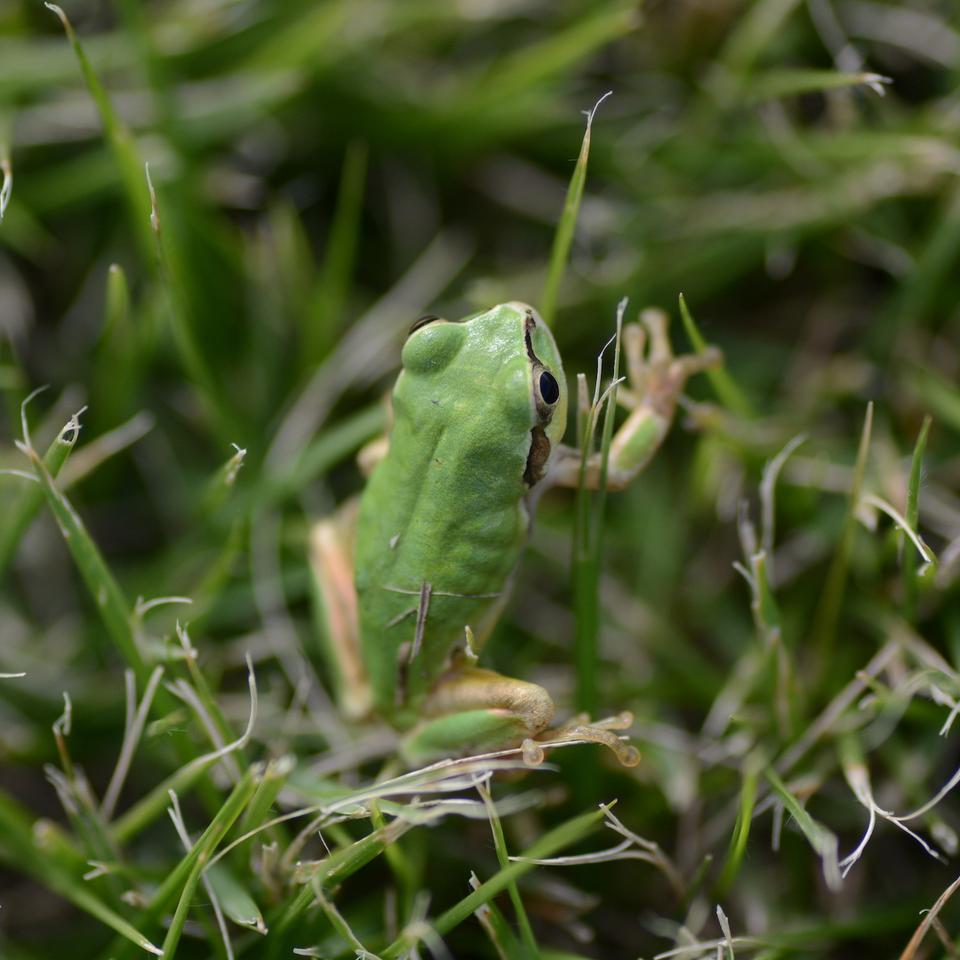 Ce complément à moins de 10 € dope la mémoire après 60 ans