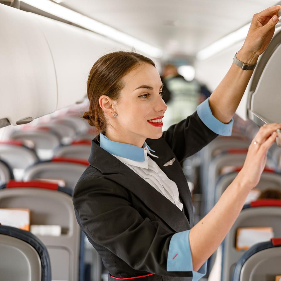 Hôtesse de l'air / Steward