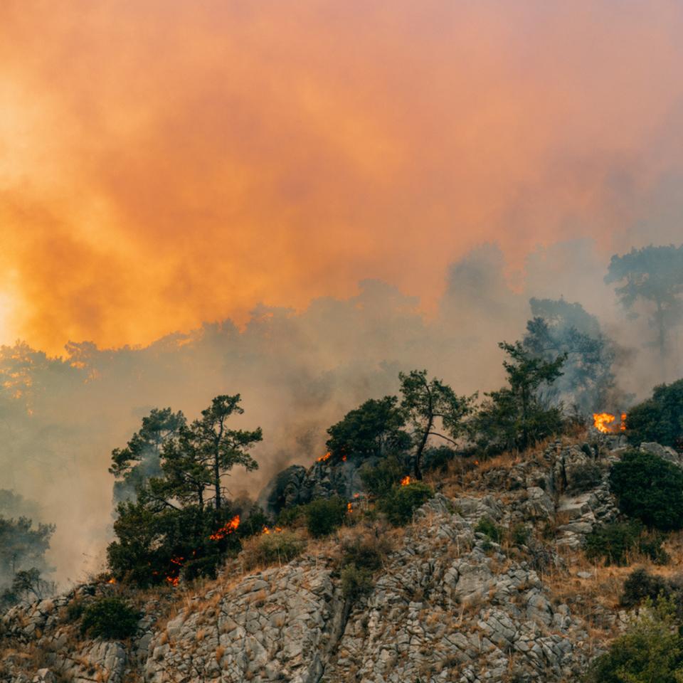 Les scientifiques préviennent : le réchauffement climatique pourrait s ...