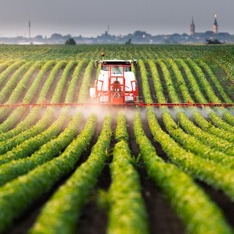 Définition | Monoculture : qu'est-ce que c'est ? | Futura planète