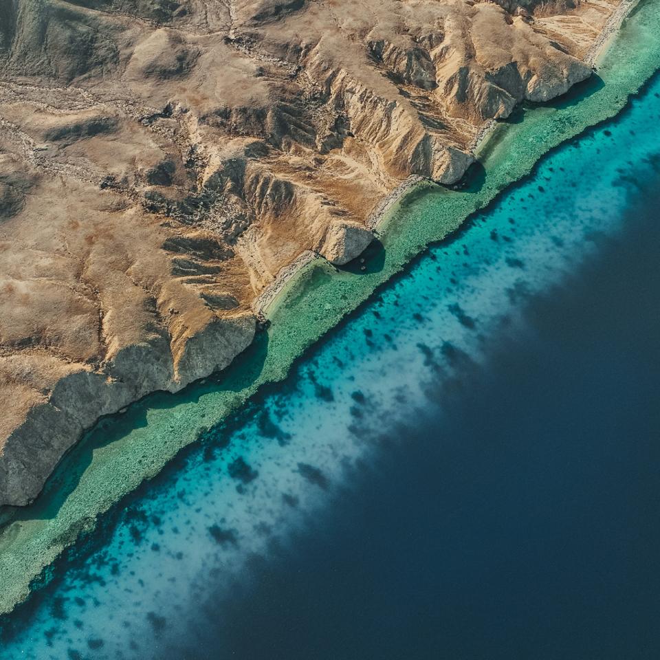 Définition | Narthex : qu'est-ce que c'est ? | Futura maison