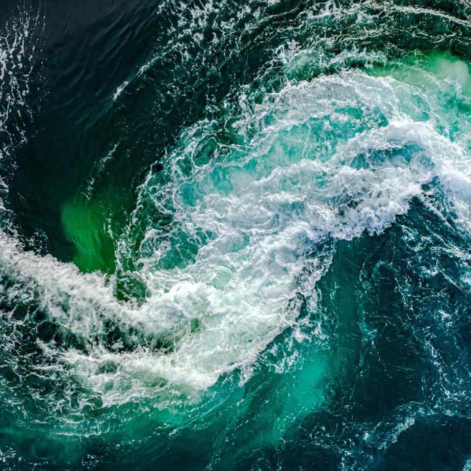 À quelle température votre chat commence vraiment à souffrir du froid