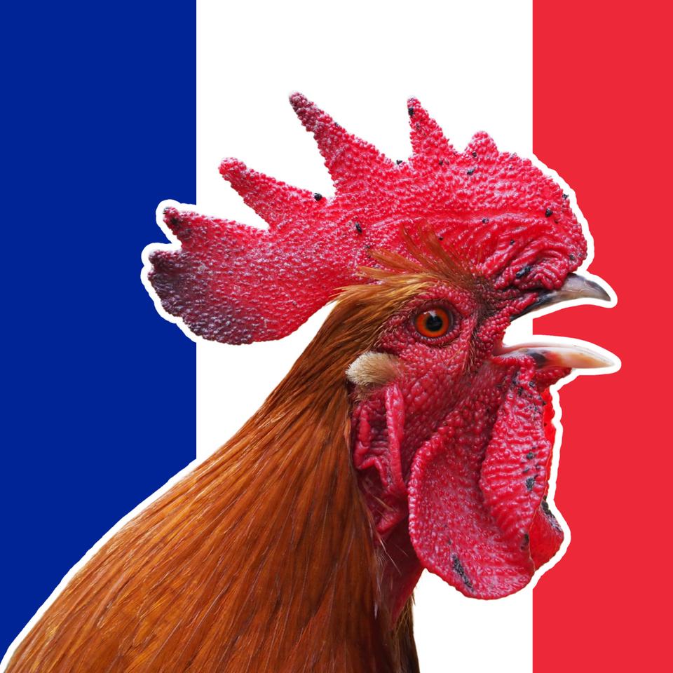 Pourquoi le coq est-il l'emblème de la France ? Découvrez son origine ...