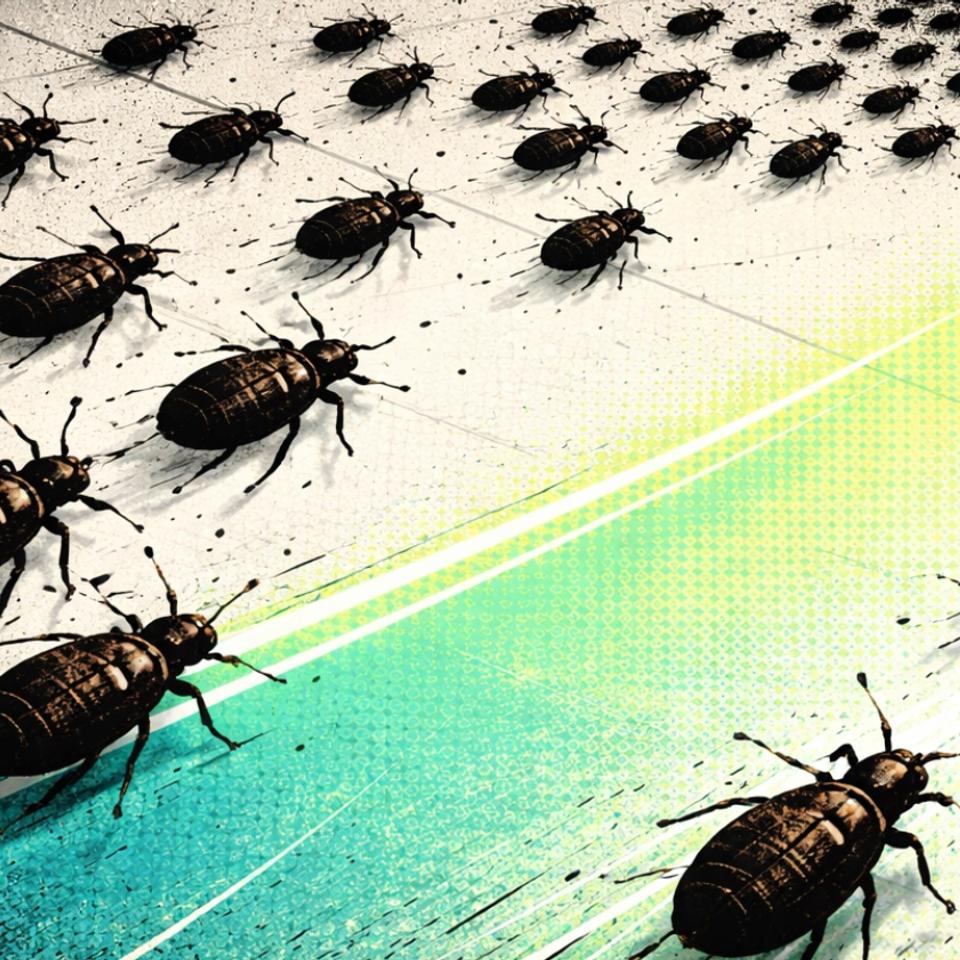 Définition | Fanon : qu'est-ce que c'est ? | Futura planète