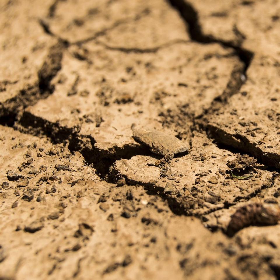 Comprendre la sécheresse : distinguer terre sèche et aridité