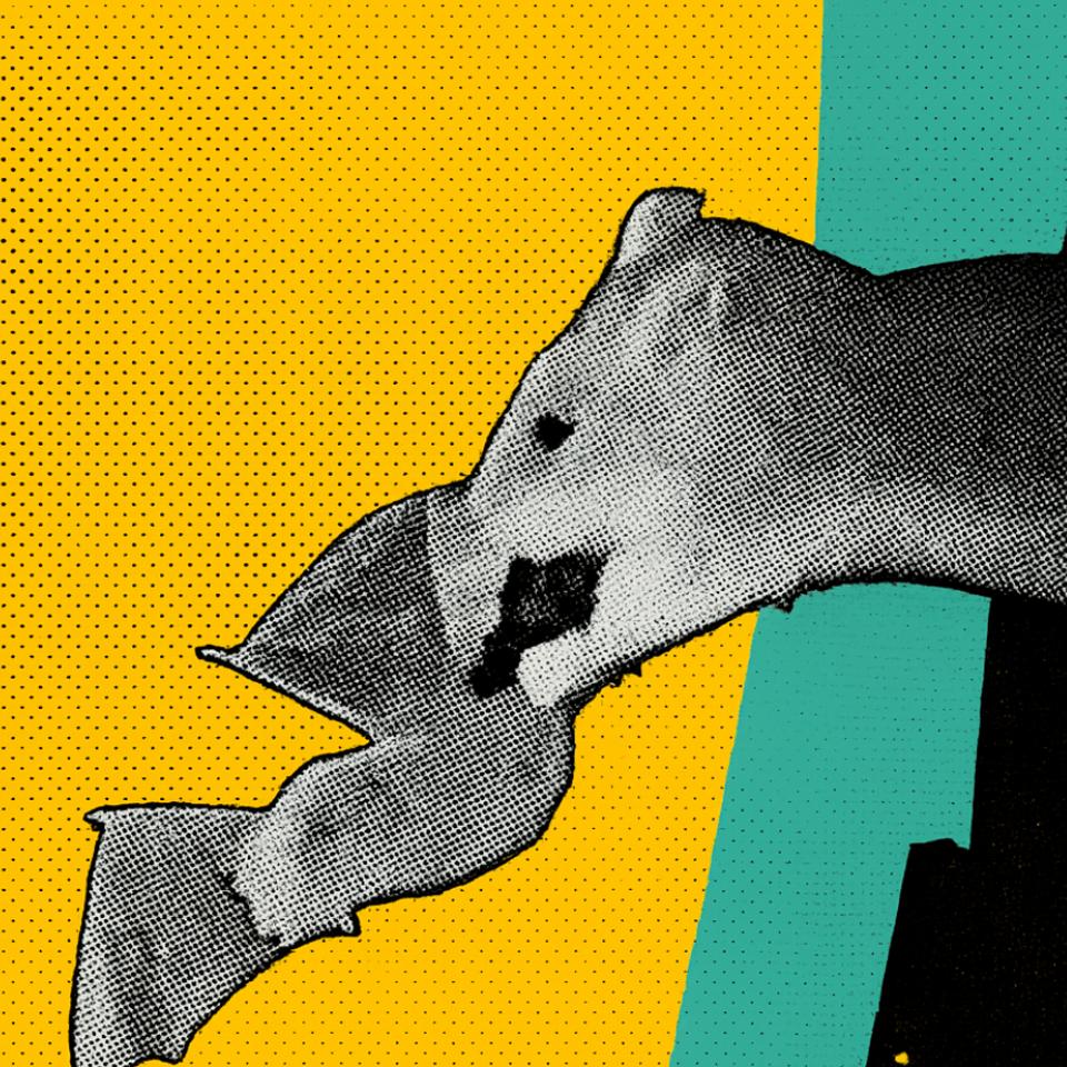 Définition | Tremble : qu'est-ce que c'est ? | Futura planète