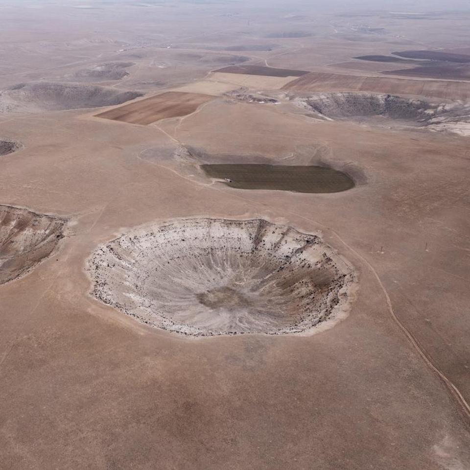 Définition | Ovipare : qu'est-ce que c'est ? | Futura planète