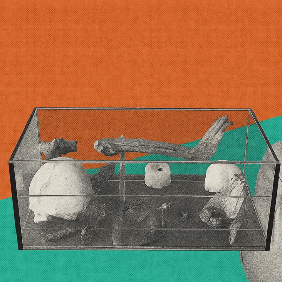 Définition | LOX : qu'est-ce que c'est ? | Futura sciences