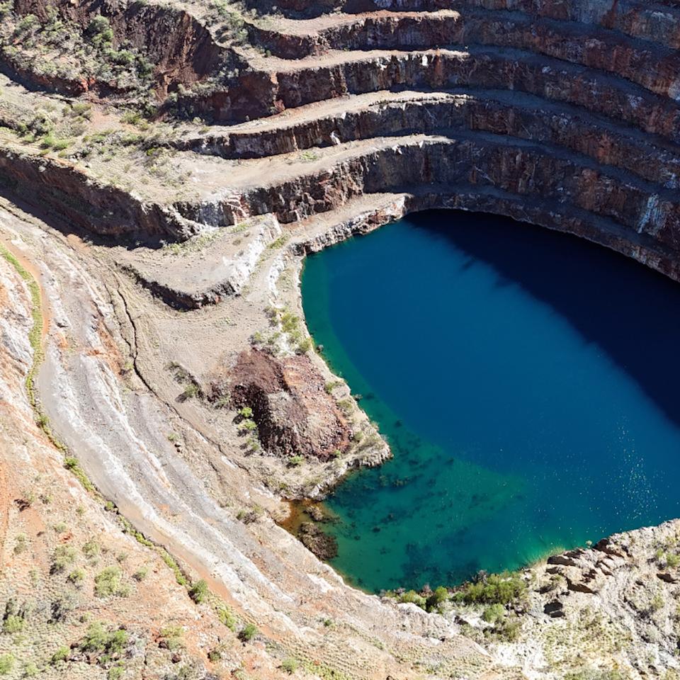 Définition | Mue : qu'est-ce que c'est ? | Futura planète